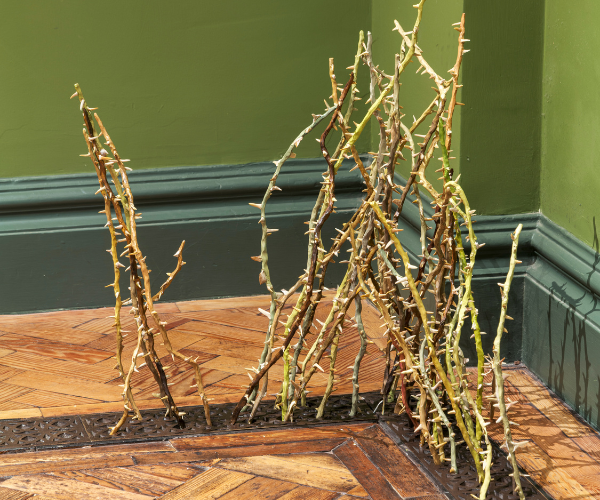 Nika Neelova: Through a glass darkly | Sir John Soane's Museum